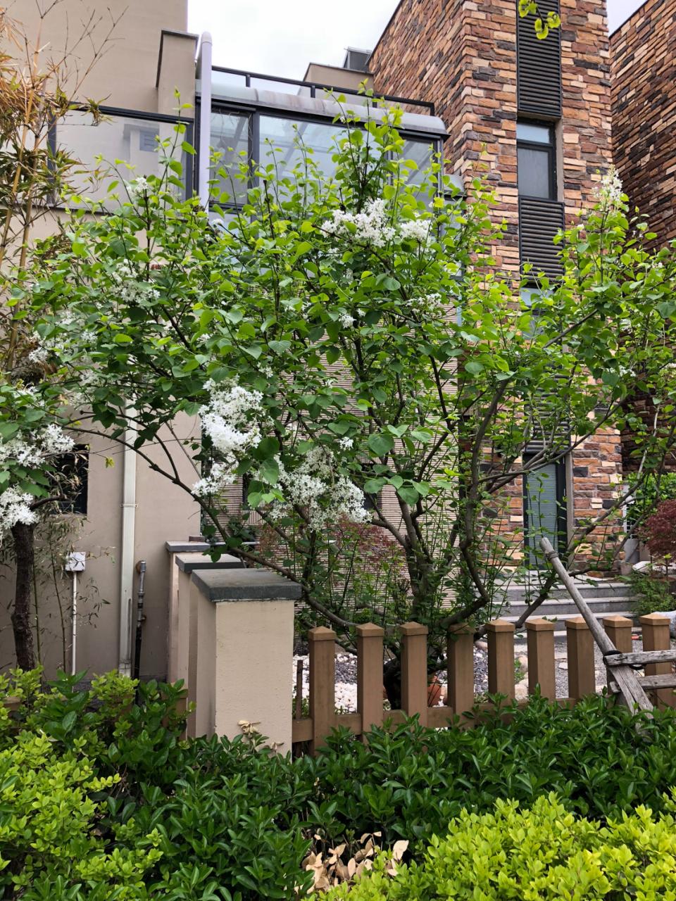 How much is the broth? - Flower Cultivation