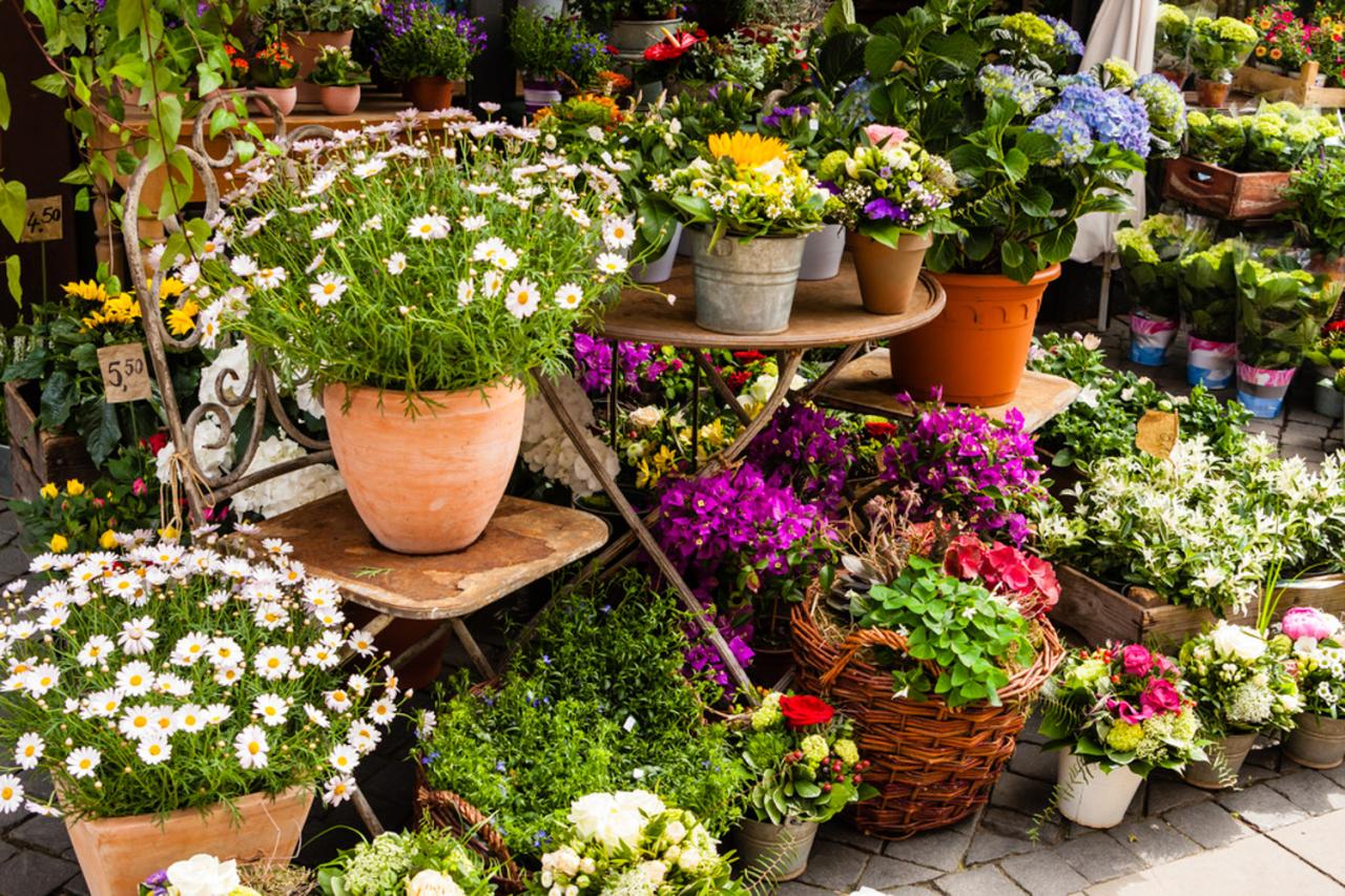 What types of flower pots - Flower Cultivation