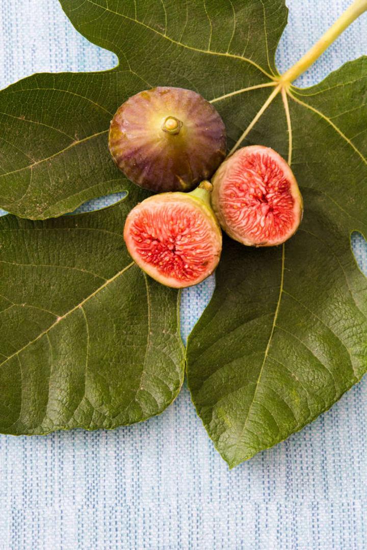 The result of figs - Flower Cultivation